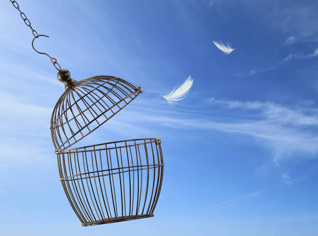 Afinal... o que é essa tal liberdade? | Mackenzie