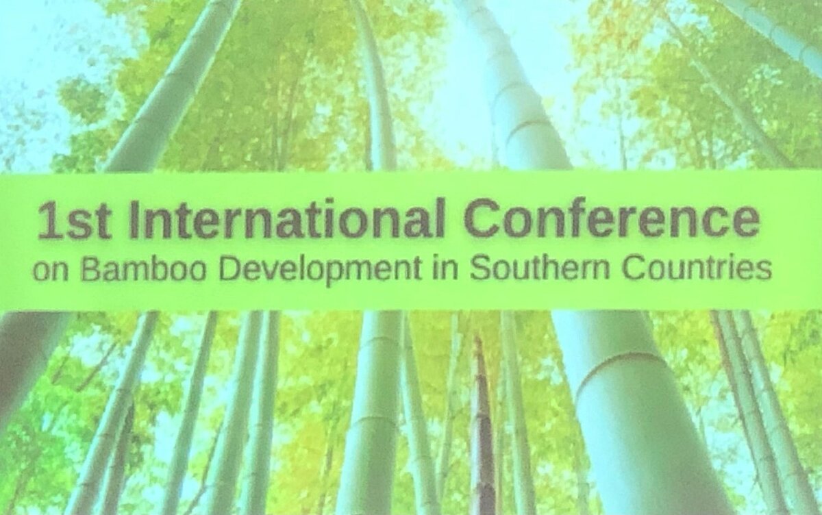 1st International Conference on Bamboo Development in Southern ...